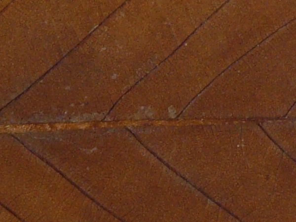 texture 0038 - Texturelib